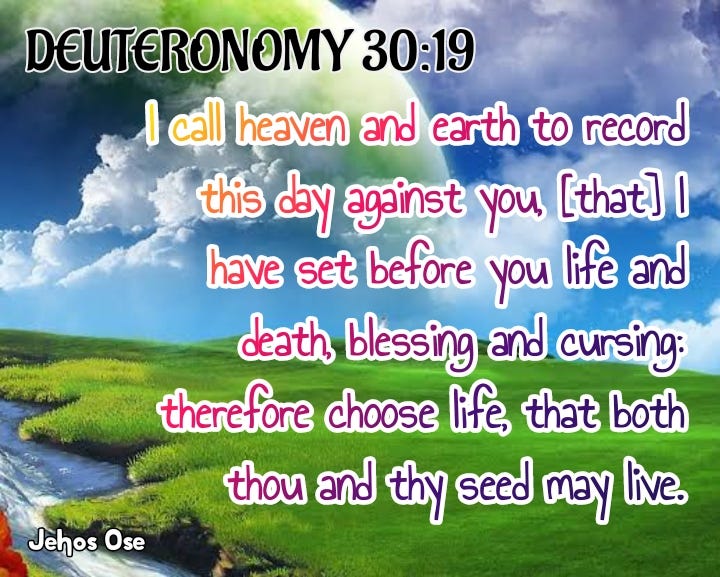 MY DAY IS BLESSED 📖25-02-2023📖. CHOOSE LIFE DEUTERONOMY 30:19 - I call ...