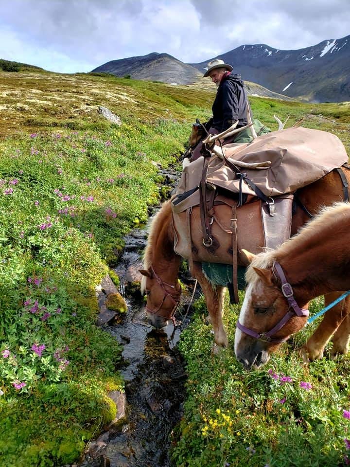 Alaskan Wilderness Maestro: The Story of Alex Kime | by Alex Kime | Medium