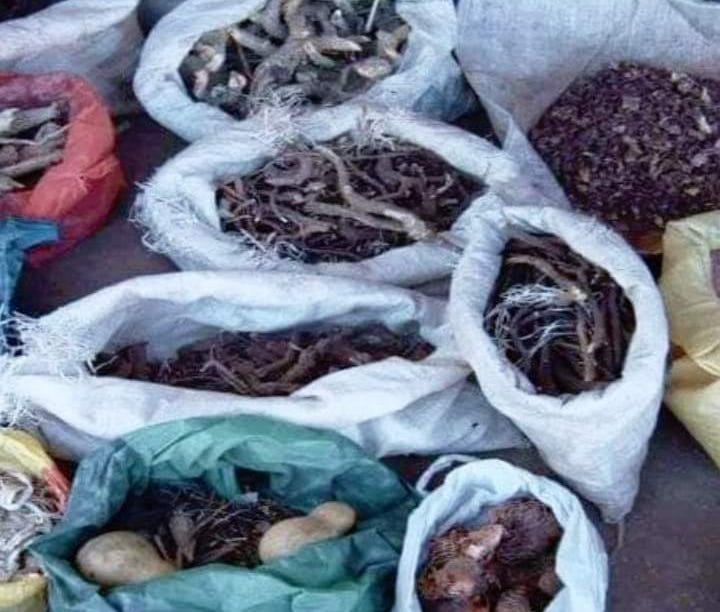 African traditional powerful spiritual healer from Kenya Dr Asuman ...