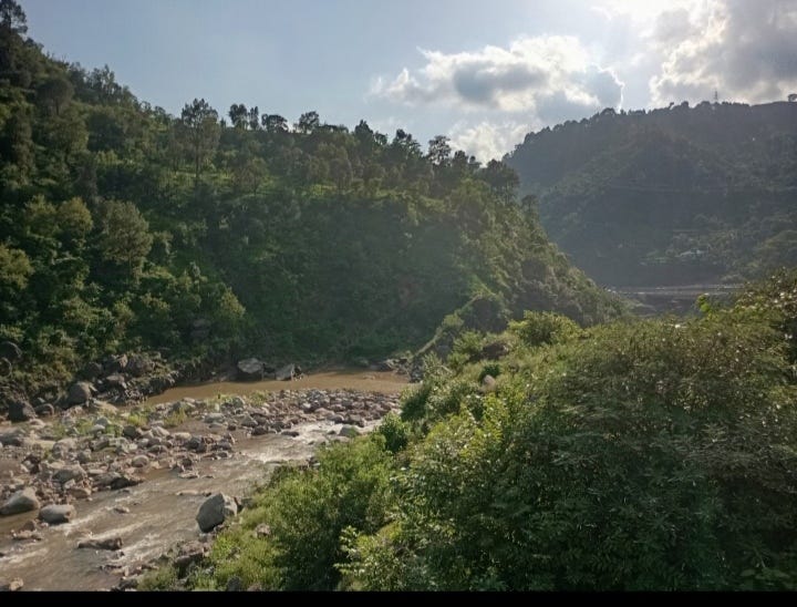 Nature and it’s eyes. The eyes of nature shows us a lot, | by Silent ...