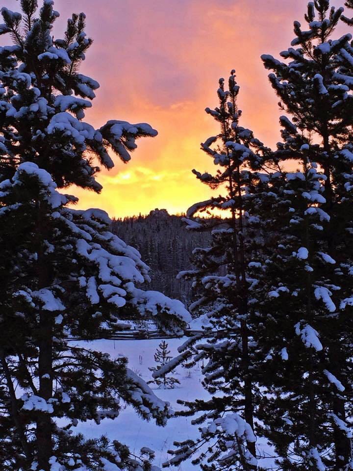 It’s Never Too Late | by Sherry York ~~~ DewUponTheArbor.com | Feb ...
