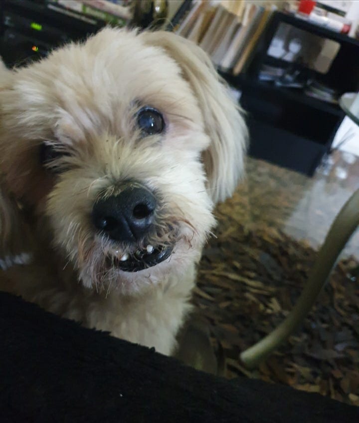 My Tomorrow died Today.. You lived well and you were well loved. | by ...