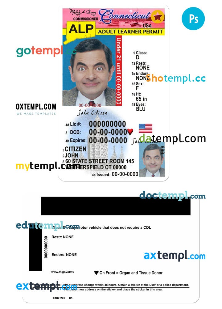 USA Connecticut state vertical driving license editable PSD template ...
