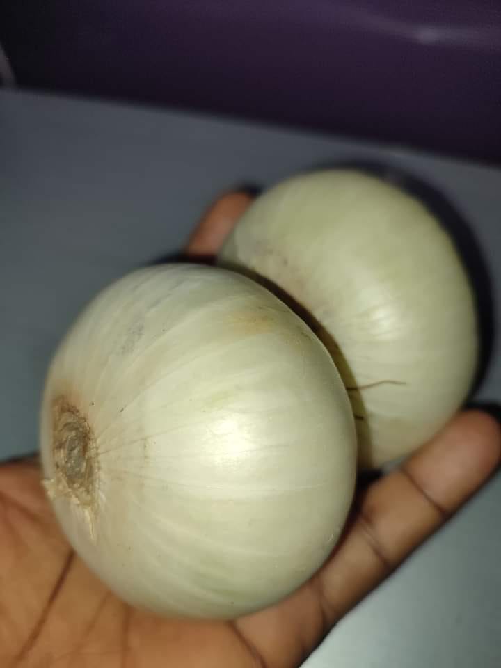 White Onion & Coconut Water: Natural Bacteria Buster | Medium