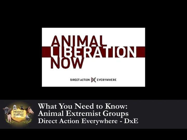 What You Need to Know — Animal Extremist Groups Direct Action ...