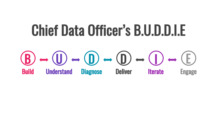 Planning for data leadership success? You need a BUDDIE | by Edafe ...