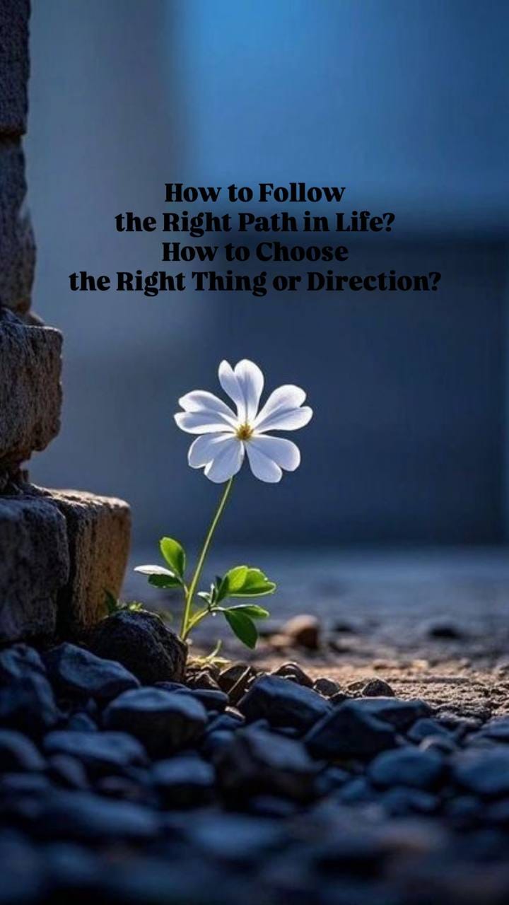 How to Follow the Right Path in Life? How to Choose the Right Thing or ...