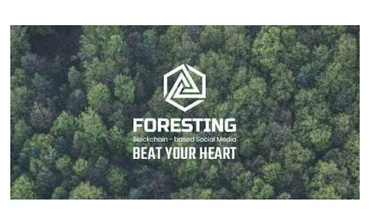 FORESTING – THE SOCIAL MEDIA PLATFORM THAT PAYS! | by Albert Annan | Medium