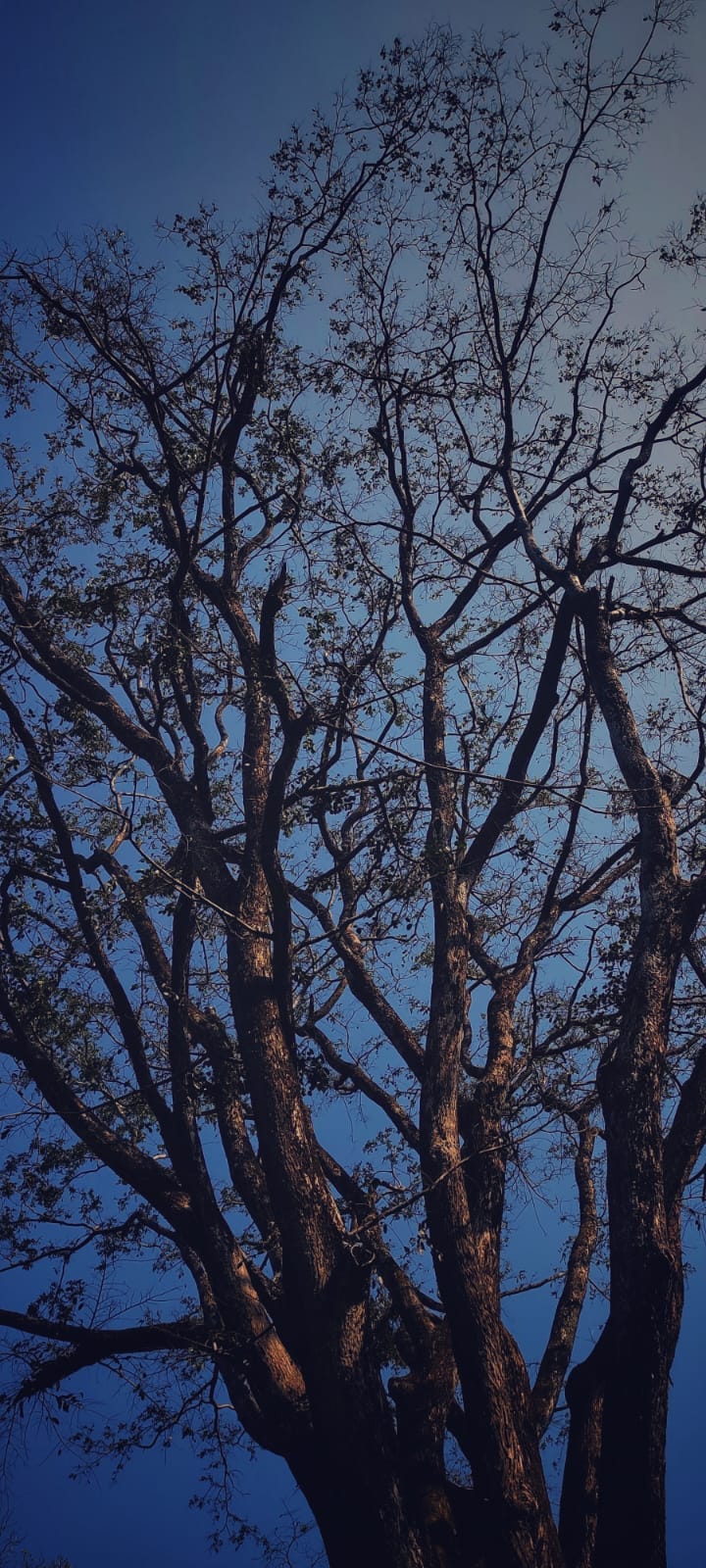 5 lessons from the Burning Month of May & June - SunDeep Mehra - Medium