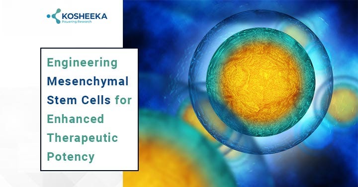 Engineering Mesenchymal Stem Cells for Enhanced Therapeutic Potency ...