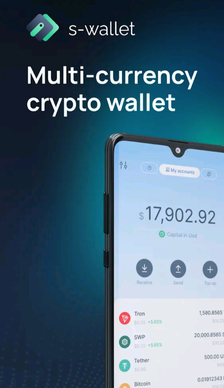 Technical Instruction On How To Use S-Wallet Currency Exchange Feature ...