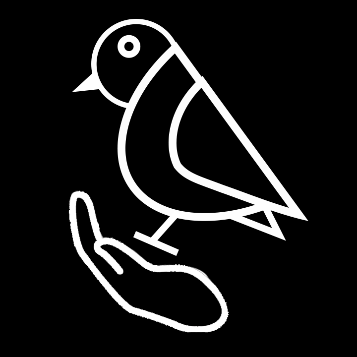 Blessed bird — Charity for communities - Talis - Medium