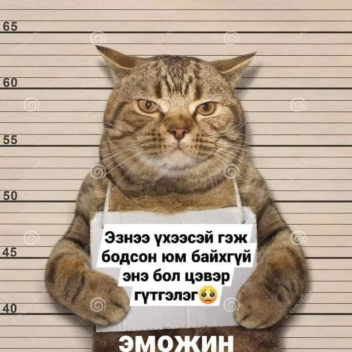 Миний шүтээн бол 😸. Энгийн гарчигтайгаа адил энгийн л… | by Badral Baadii | Medium