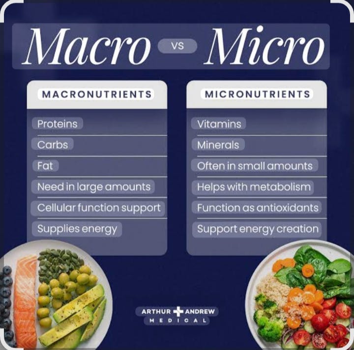Importance of Micro and Macro Nutrients in Our Daily Diet | by ...