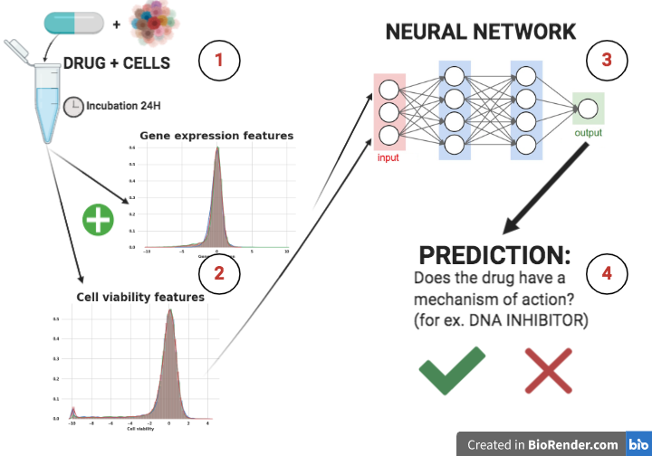 Drug Discovery With Neural Networks | by Amine | The Startup | Medium