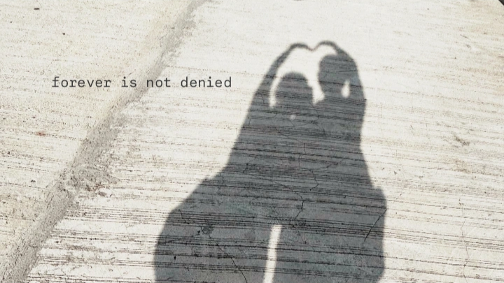 Forever is not denied.. I was never a good writer, nor could I… | by ...