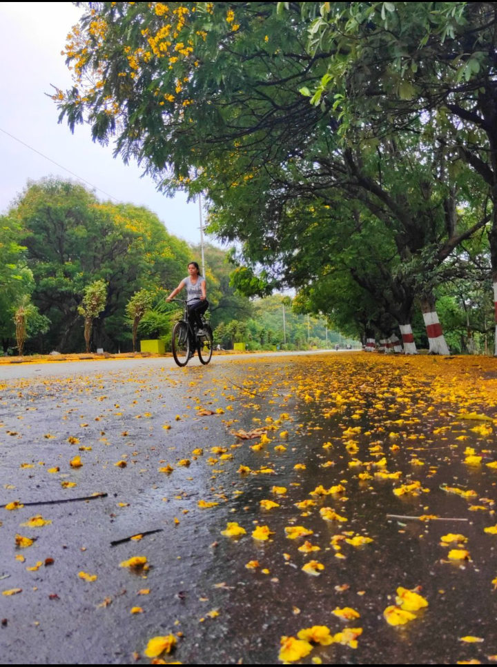 Leaving a Place That Will Always Be Home | by M Raj Shekhar | A Smiling ...