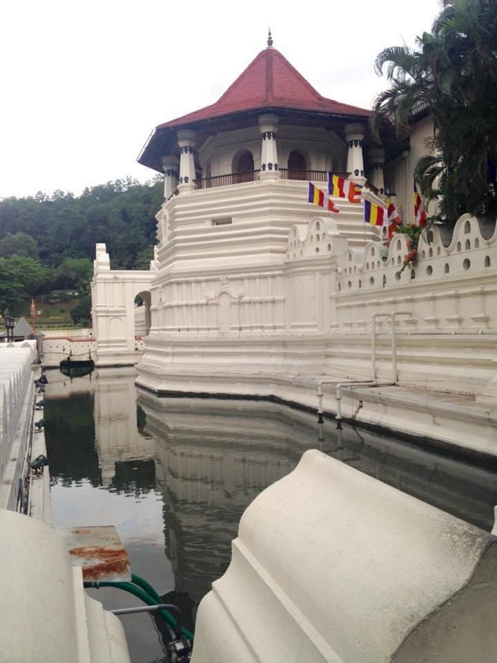 The SriLanka Interlude ..Sept 2017 | by Mallika Menon | Medium