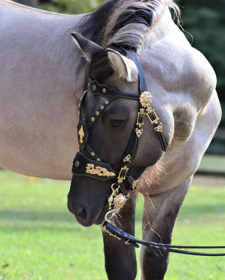 Durable Leather Halter Bridle with Adjustable Bit Hangers-twohorsetack ...