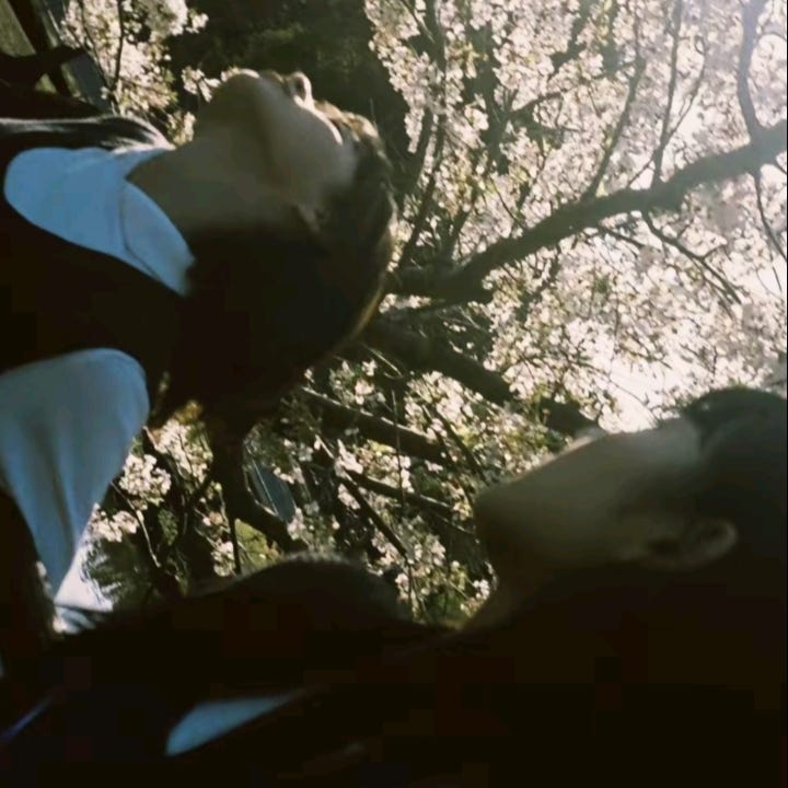 Thank you for loving the pieces of me that aren’t easy to love | by Kai ...