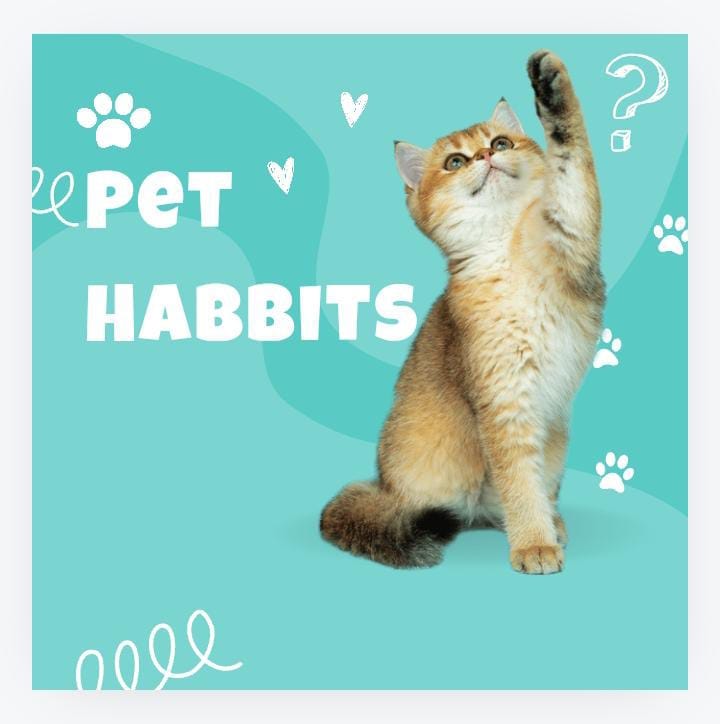 How to Break Habits of Your Pet:. A Step-by-Step Guide | by Shakeela ...