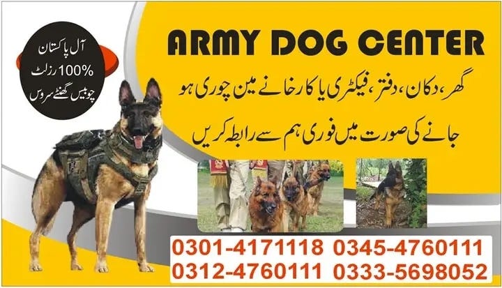 Army Dog Center Okara 03014171118 - Army Dog Center Okara - Medium