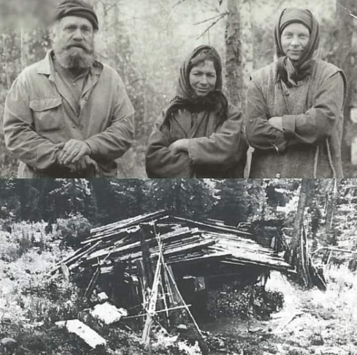 The remote freezing-cold forests of Siberia In 1978, a helicopter was ...