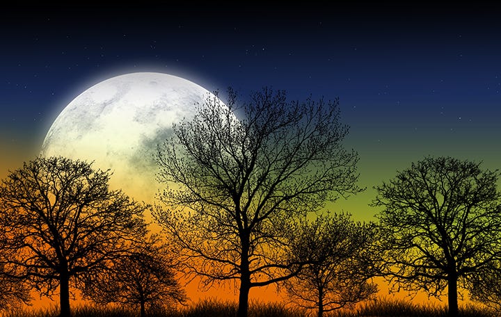 All day-night…. Whether it’s eight days a week, a night… | by Diem ...