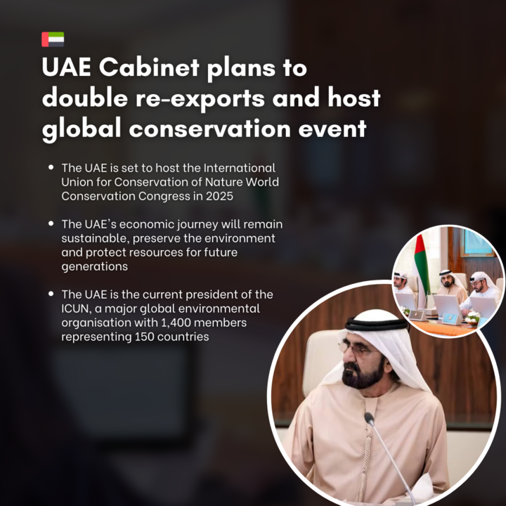 UAE Cabinet unveils ambitious plan to double re-exports by 2025 | by ...