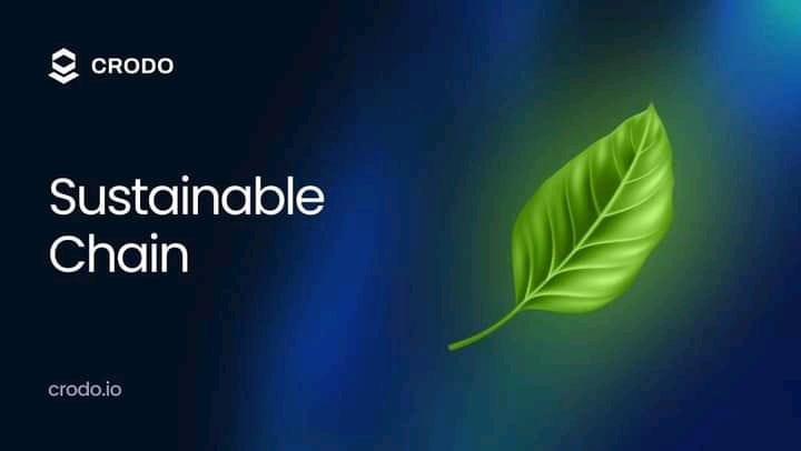 CRODO project Incorporation with Chia Network: | by Solution Go Wo | Medium