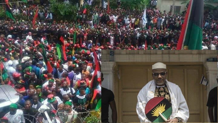 IPOB Proscription: Postponing the Evil Day | by 'Seun Akinyemi | Medium