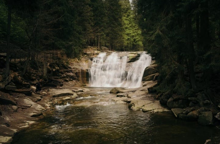 Soulless - Debra Reay - Medium