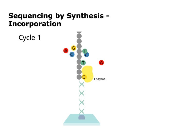 How We Pioneered Next Generation DNA Sequencing At Solexa – IV | by ...