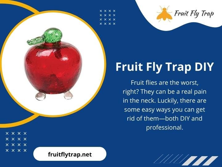 Fruit Fly Trap DIY - Fruit Fly Trap - Medium