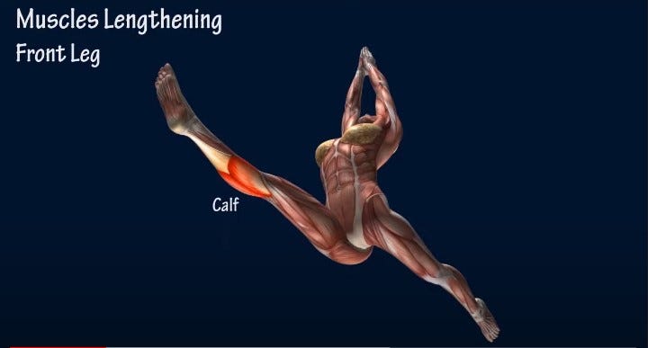 Front Split Hanumasana Muscle Anatomy | by Devashisdevofficial | Medium