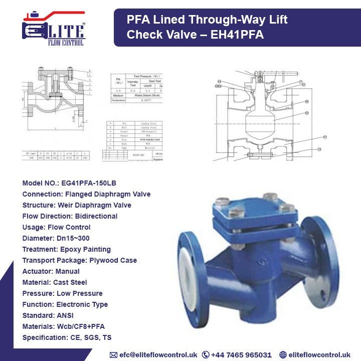 PFA Lined Through-Way Lift Check Valve — EH41PFA ...