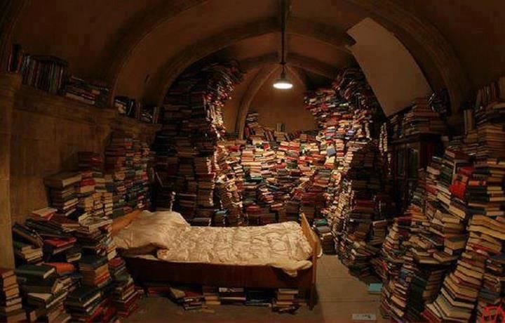 Why Book Hoarding Should Not Be Normalized? | by nisrina bestari | Medium