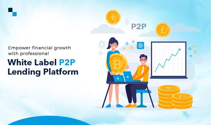 LendingOwl’s Impact: How P2P Lending Empowers Small Businesses | by ...