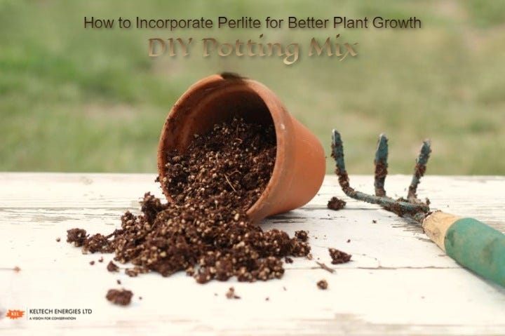 DIY Potting Mix: How to Incorporate Perlite for Better Plant Growth ...