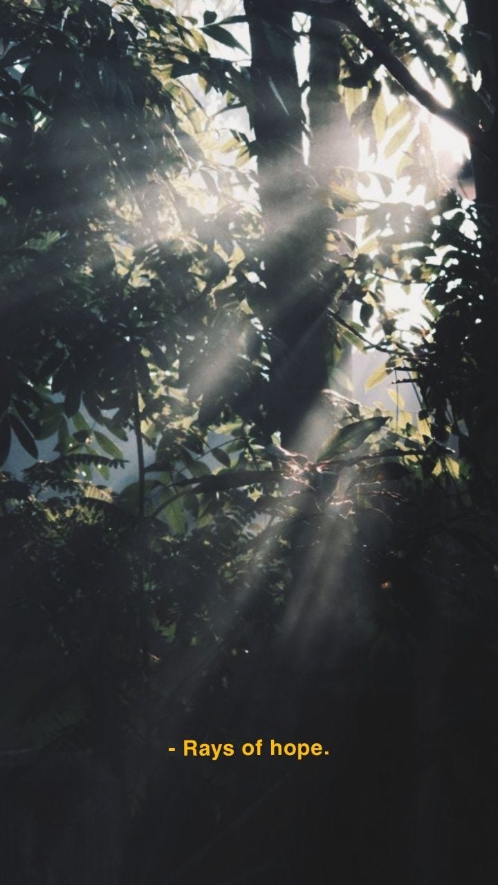 In Case You Are Giving Up, Look For Hope | by Laiba Mujahid khan ...