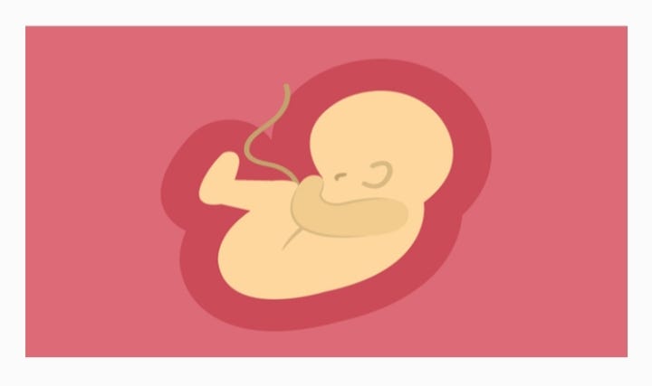 Perkembangan Peserta Didik Pada Masa Prenatal | by Nada Nadila | Medium