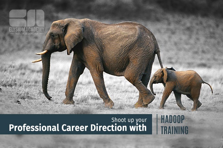 Shoot up your Professional Career Direction with Hadoop Training | by ...