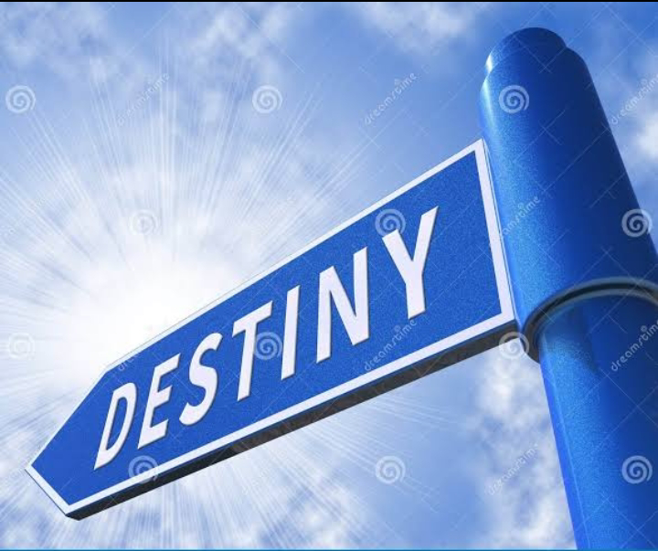 THE ENVIABLE DESTINY | by George Freeman | Feb, 2025 | Medium