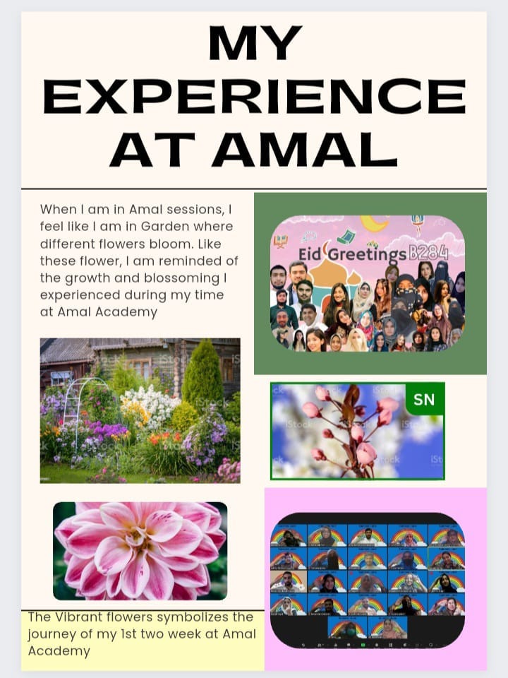 Visualizing My Experience. Reflections on My First 2 Weeks at Amal… | by Syedanovera | Medium