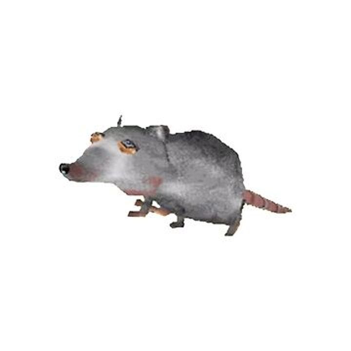 RAT RATT RATTT Team review. I had a lot of fun this season, getting ...