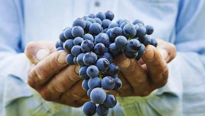 “The Spirit’s Principle of Multiplication And Fruitfulness" [1] | by ...