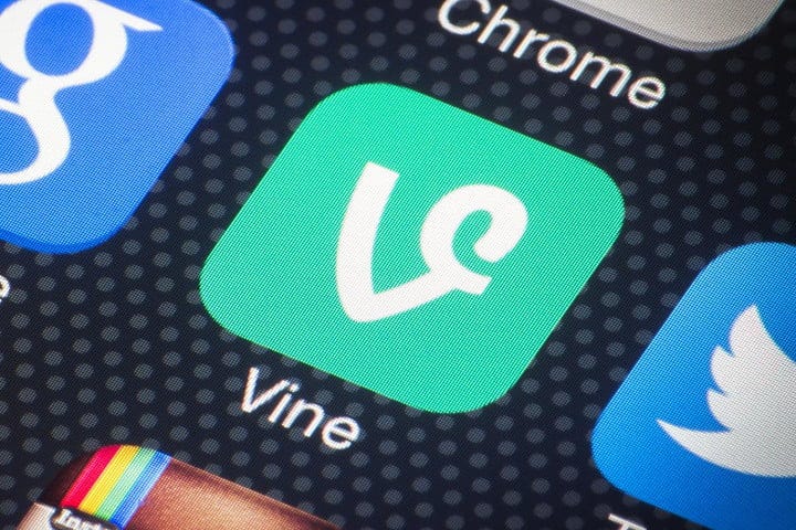 Truly Beloved Vine. The time when Vine was alive is the… | by Haley ...