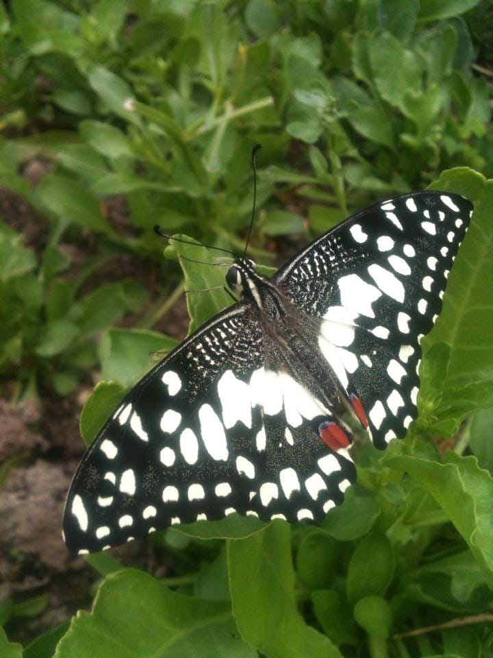 Transformation. Let me walk you through the change. | by Pratibha Singh ...