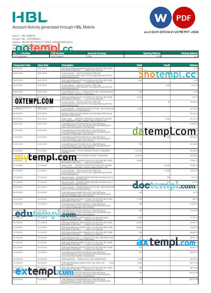 PAKISTAN HBL utility bill, PDF and Word download template | by Intempl | May, 2024 | Medium