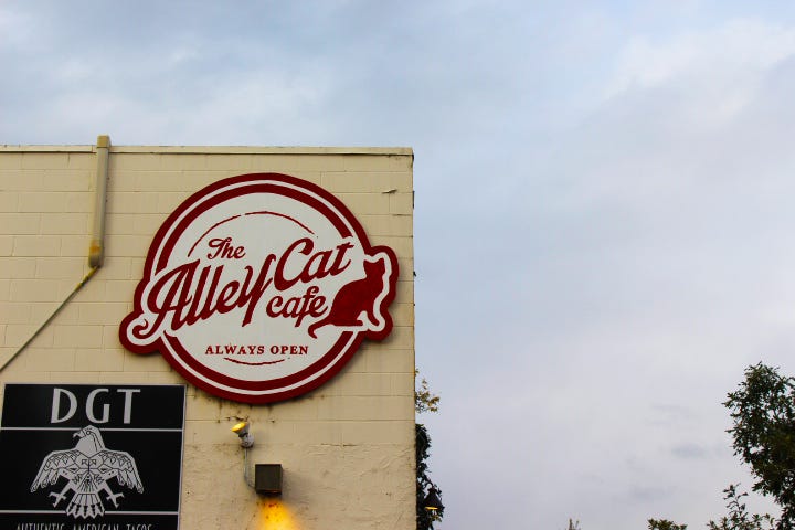 Why You Should Skip the Chains and Visit the Alley Cat Café on Your ...